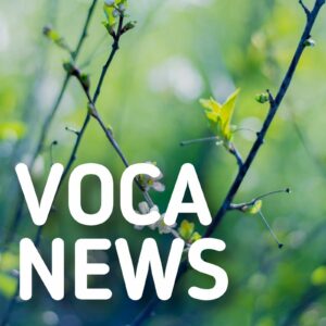 Voca Stock — Онлайн платформа с вокальными упражнениями