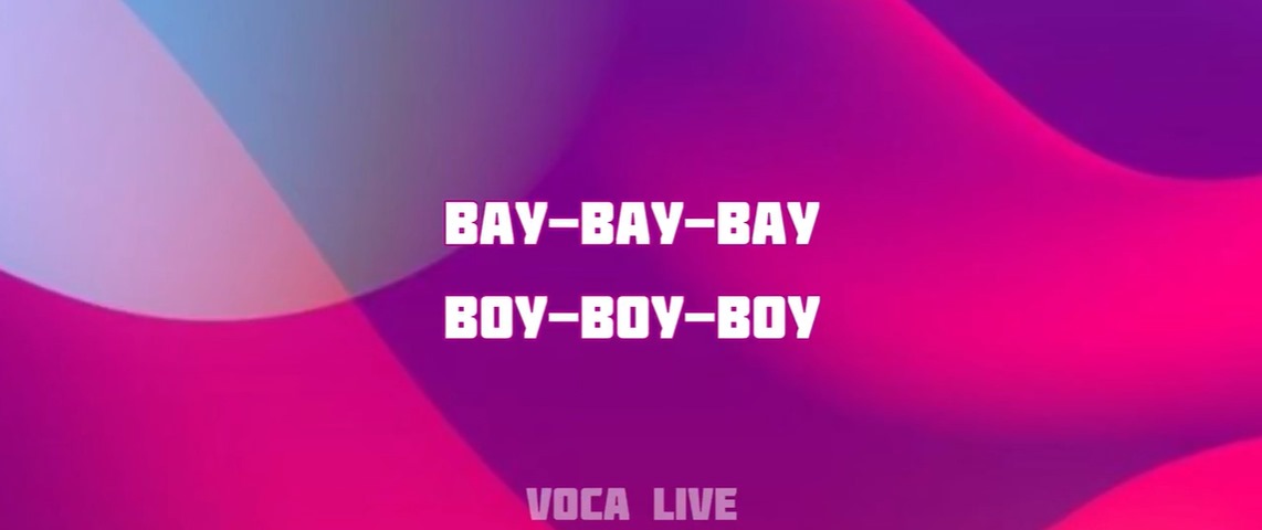 Voca Live 17 - VocaStock